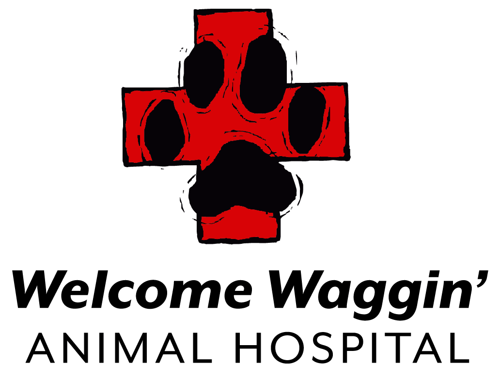 Make An Appointment at Welcome Waggin' Animal Hospital